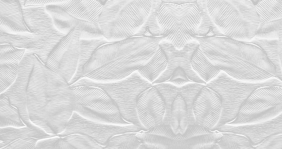 Decorative Product Visualiser